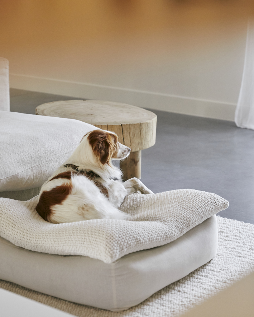 Moments with Els Lambrechts